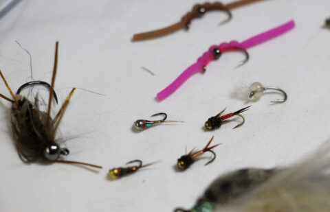 Winter Fly Assortment | The Fly Rod Shop